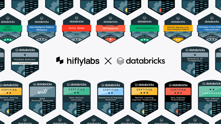 One-Stop Shop Partner for Databricks Services | Hiflylabs
