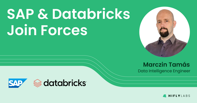 How Databricks Apps Boosted Our Productivity